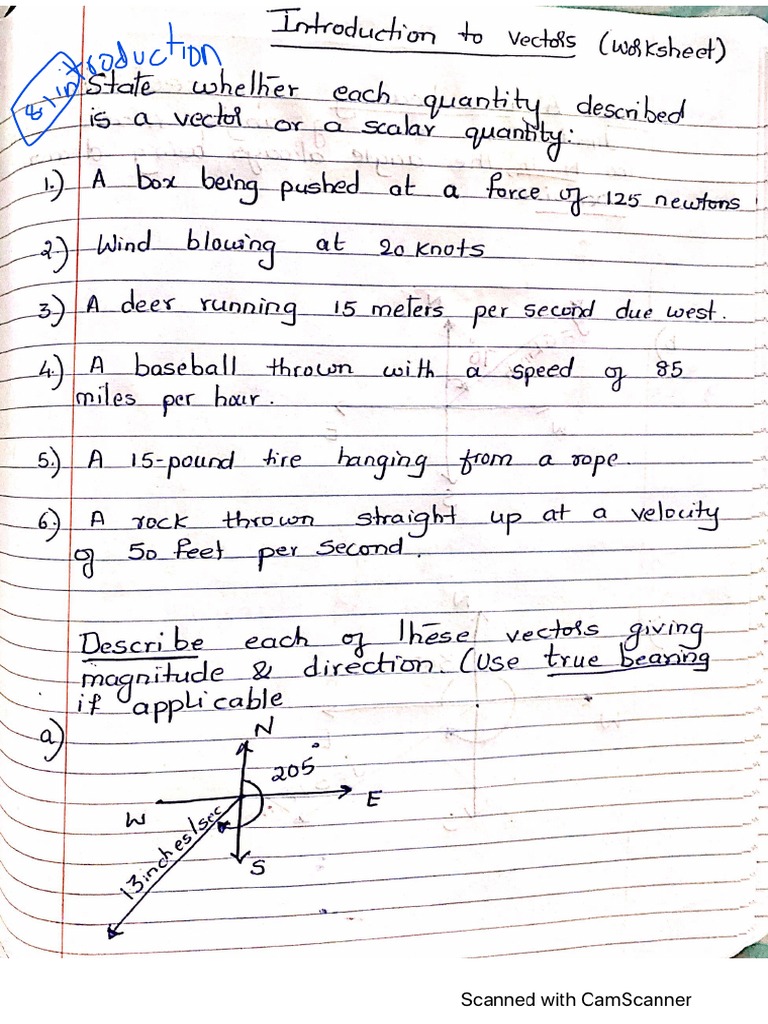 Vector Worksheet Compiled 1 | PDF