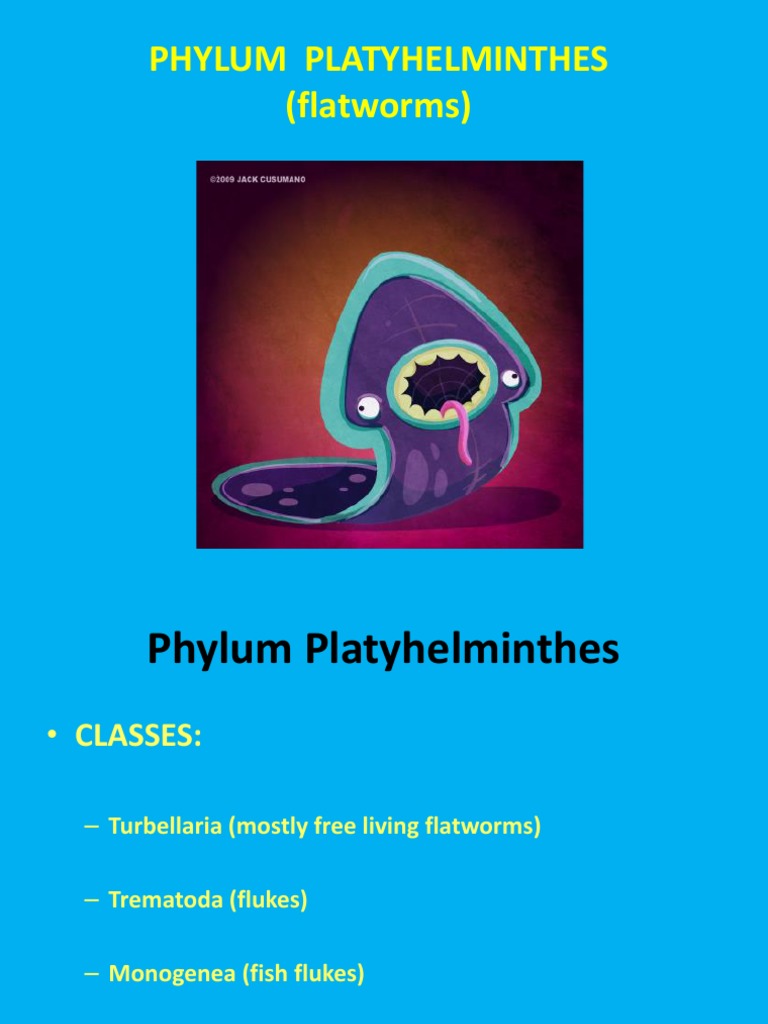Cestoda: Characteristics and Examples | PDF | Biology | Protostomes