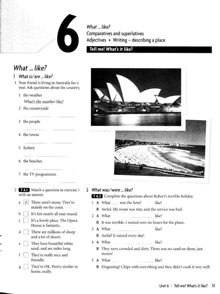 Pre Intermediate 5 Workbook | PDF