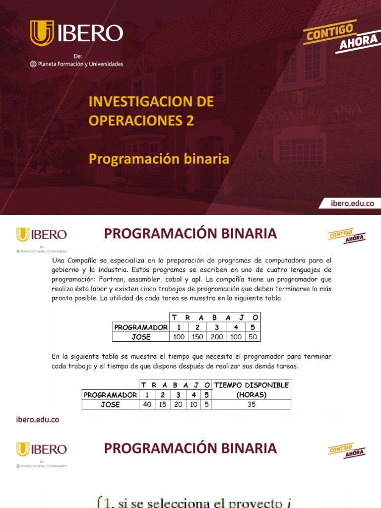 Programación Binaria | PDF | Economias