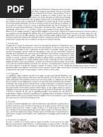 Ejemplos de Los Signos Naturales | PDF