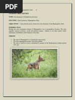 O Level African History Notes | PDF | Zimbabwe