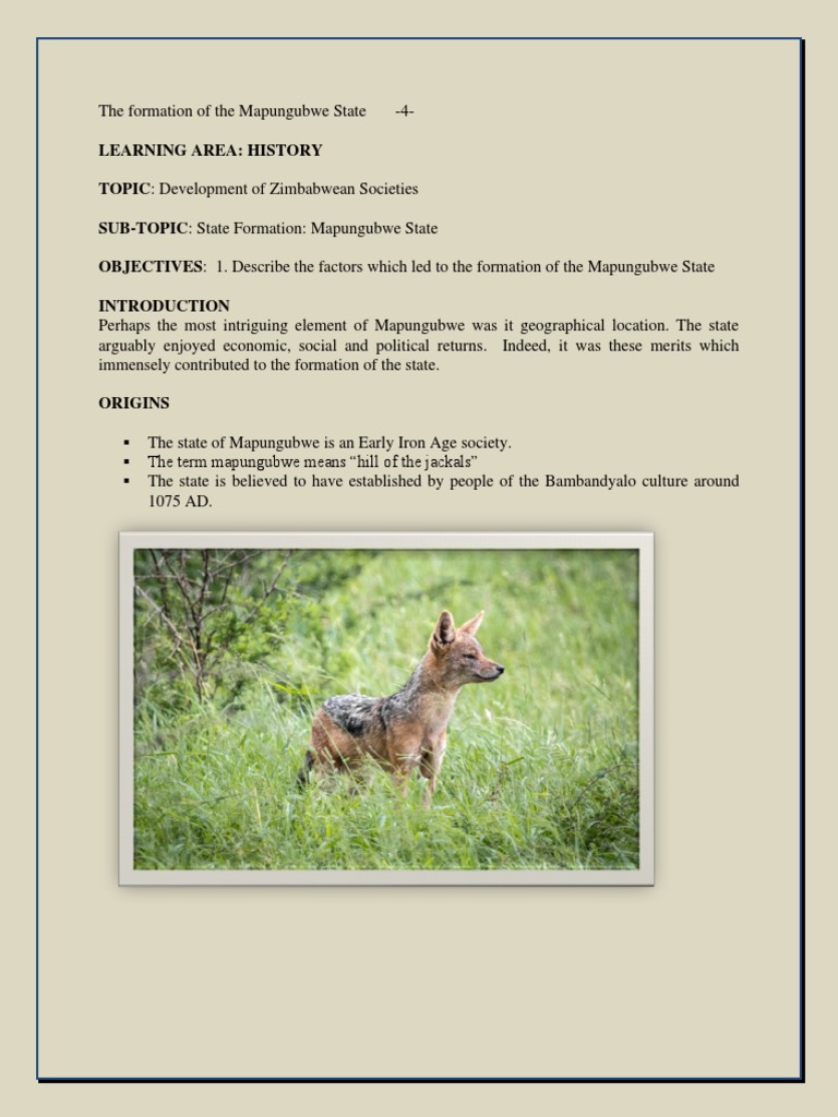 The Rise of Southern Africa's First State: An Analysis of the Political ...