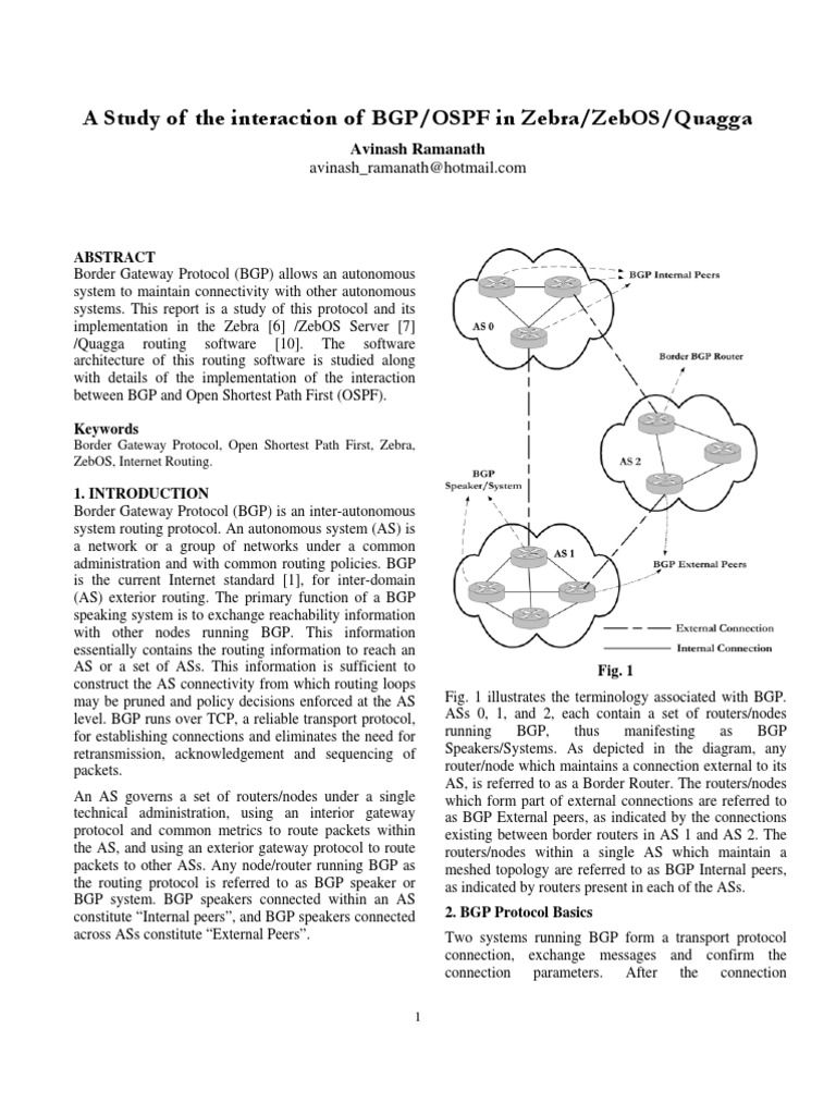 BGP OSPF Interaction Report | Download Free PDF | Routing | Router ...