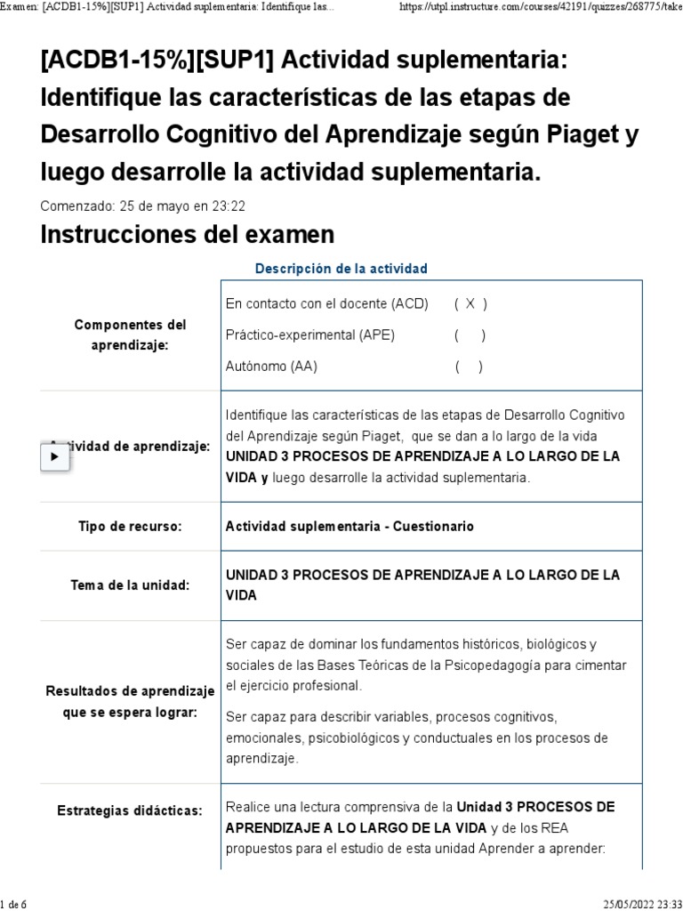 Descripción de La Actividad | PDF | Aprendizaje | Desarrollo cognitivo