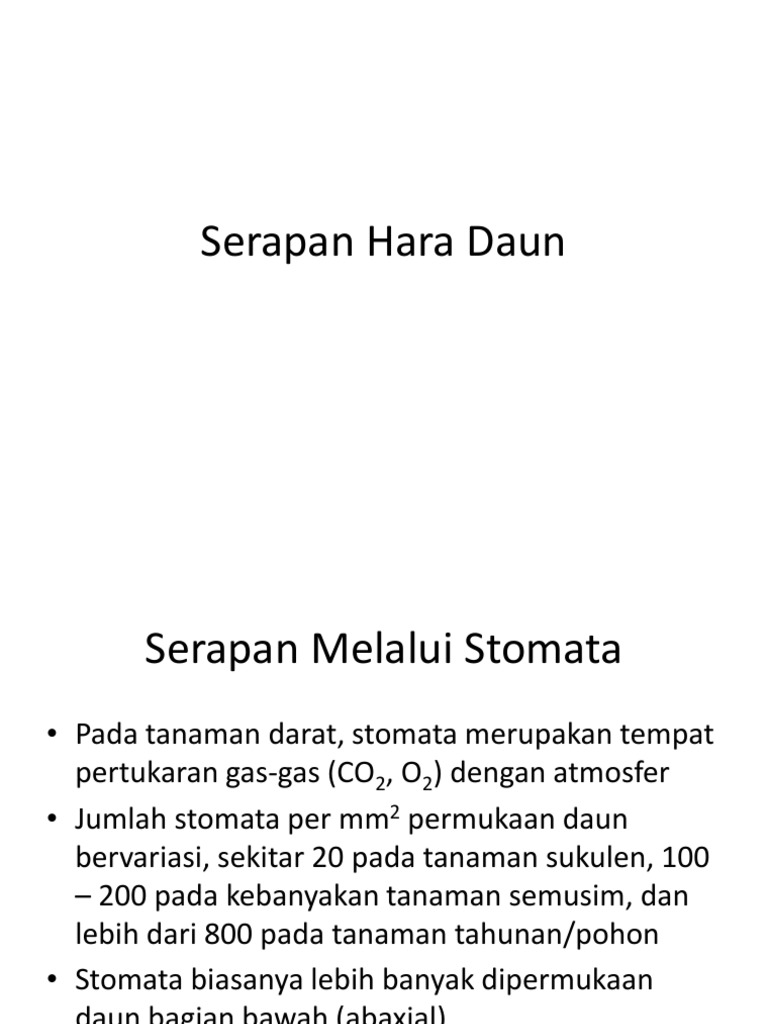 Serapan Unsur Hara | PDF