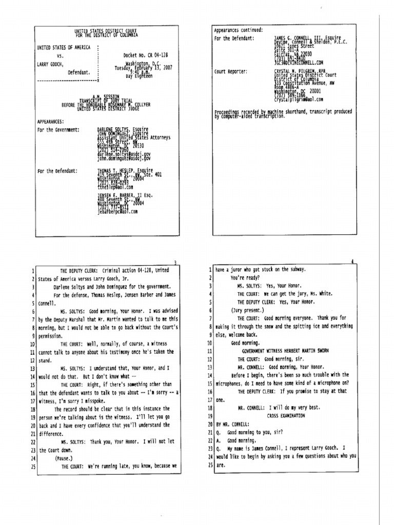 Sample Cross of Informant | PDF