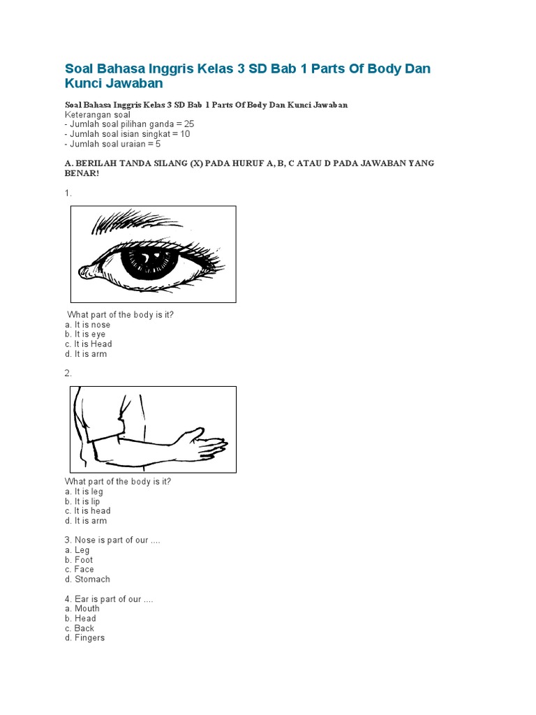 Soal Bahasa Inggris Kelas 3 SD Bab 1 Parts of Body | PDF | Anatomy | Facial Features
