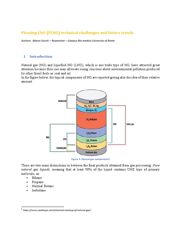 Floating LNG FLNG Technical Challenges and Future Trends | PDF ...