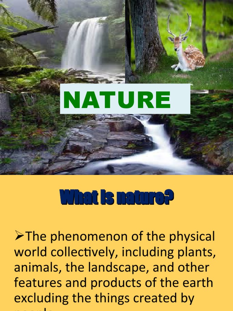Nature Presentation | PDF