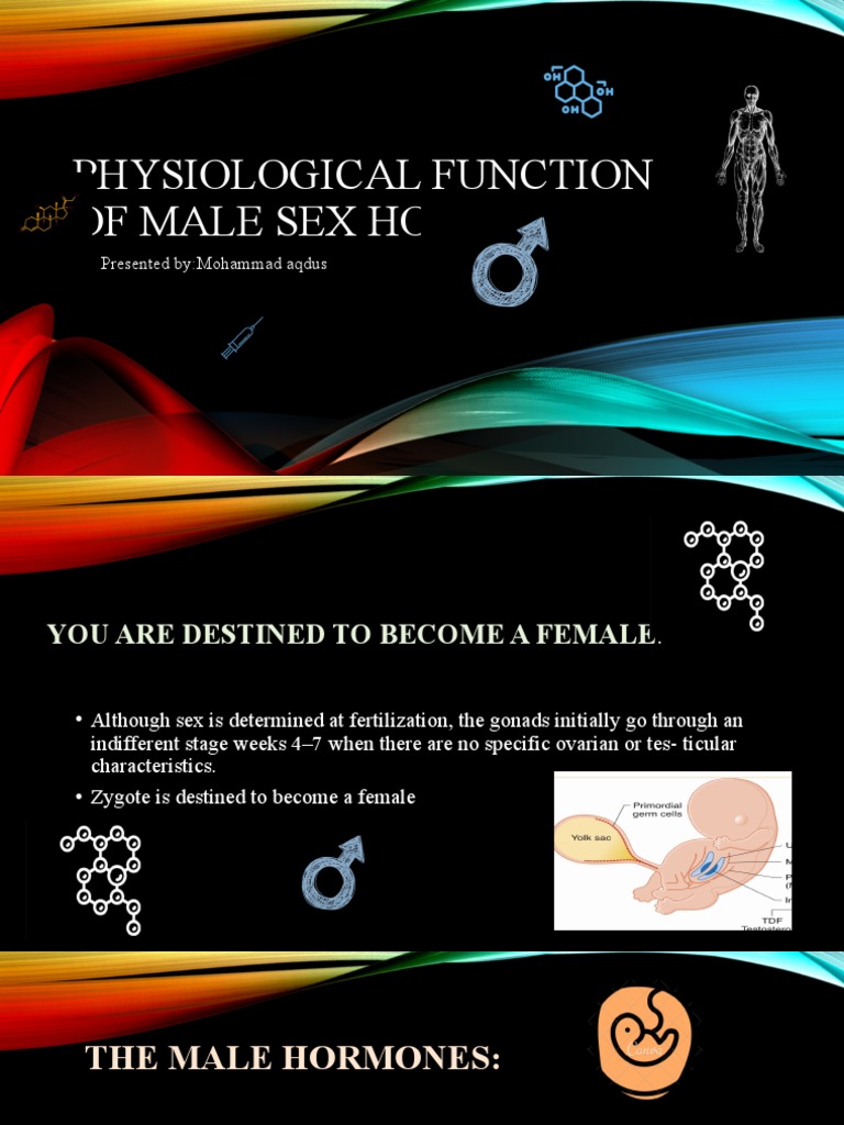 Physiological Functions of Male Sex Hormone: Presented By:mohammad ...