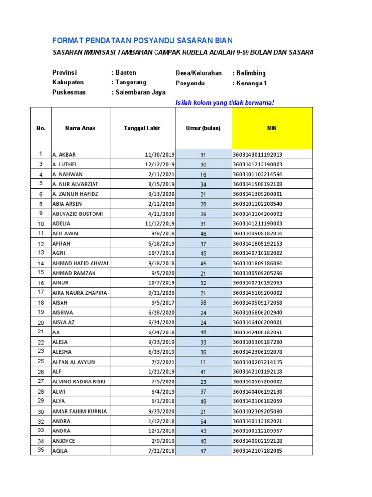Format Pendataan Posyandu Sasaran Bian | PDF