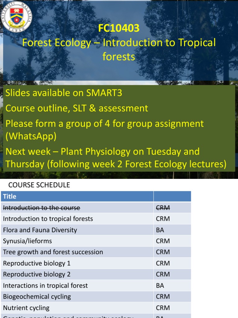 Introduction To Tropical Forests Lecture 2 Pdf Forests Tropics
