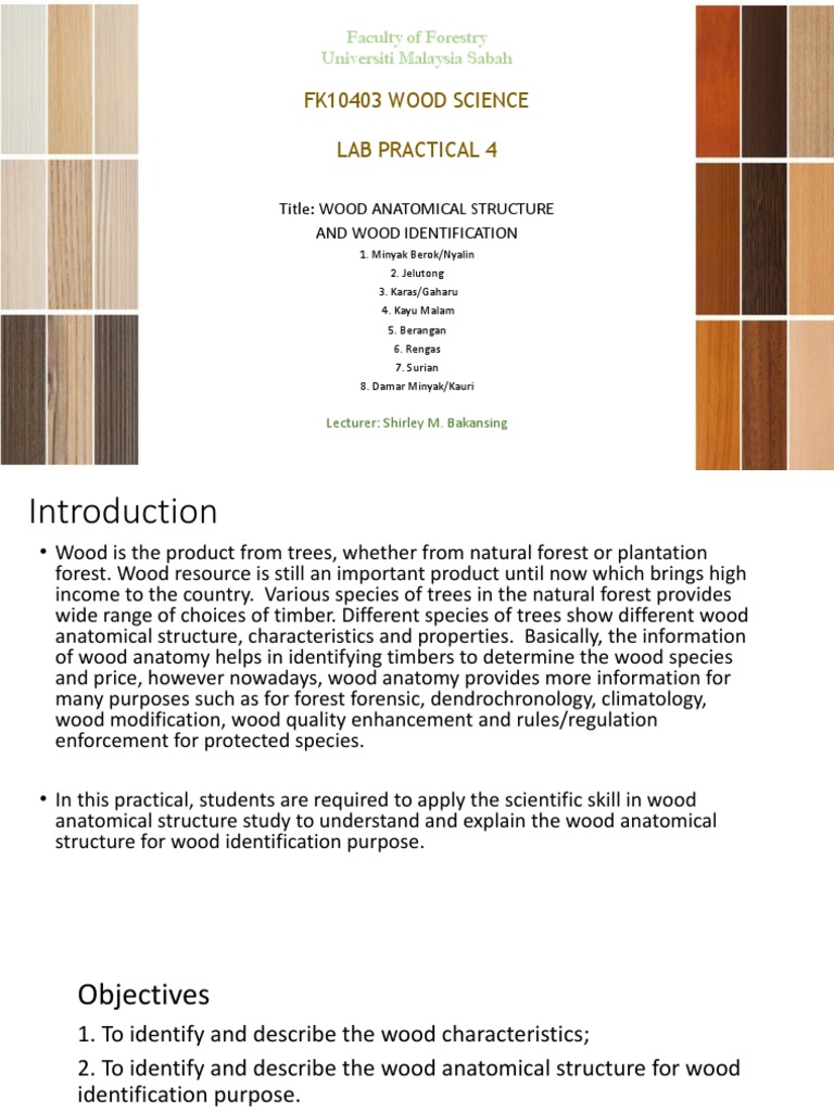 Wood Anatomy and Identification Guide | PDF | Wood | Forestry