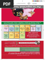 Lineamientos Generales Del Pvu 2024 | PDF