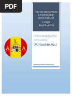 Manual VCDS - Tutorial Completo em Portugues PDF | PDF | Mordeu | Bens ...