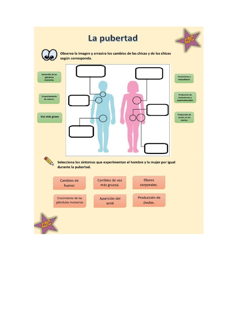 Practica de La Pubertad | PDF