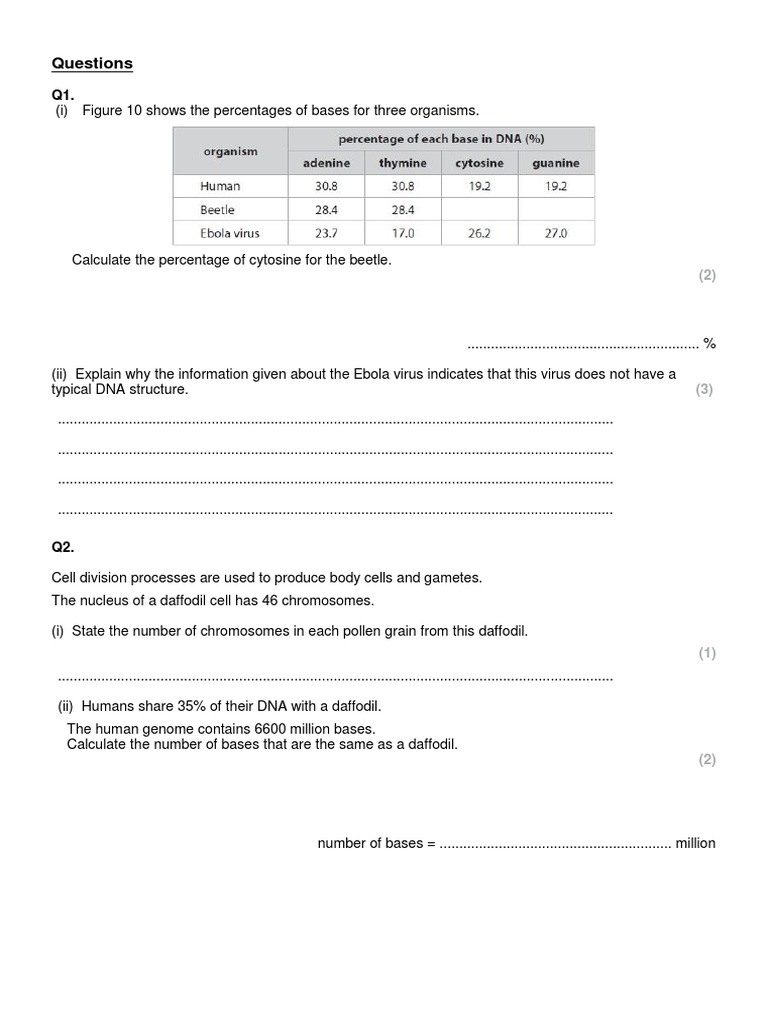 DNA Questions Explained | PDF | Dominance (Genetics) | Zygosity
