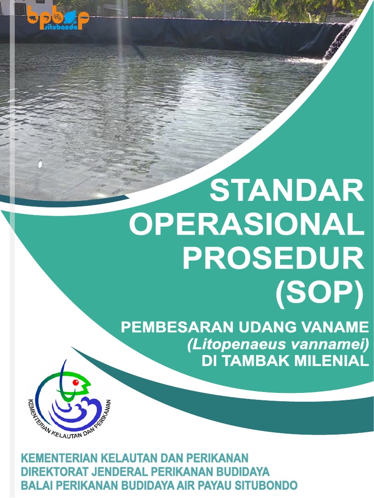 Sop MSF | PDF