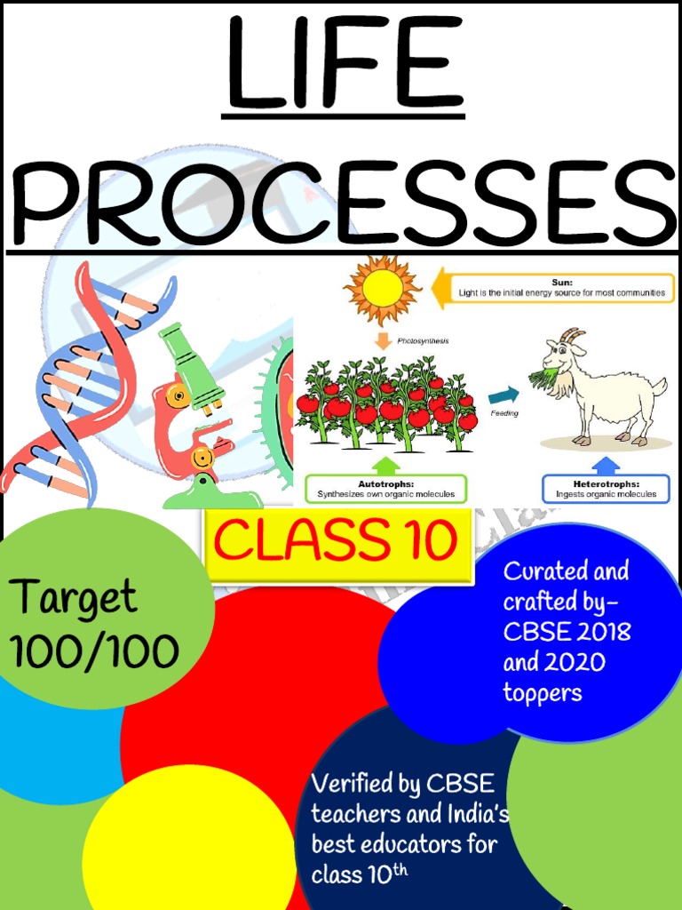 Life Process. | PDF | Circulatory System | Cellular Respiration