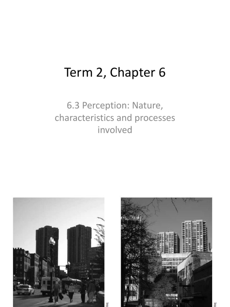 Chapter 2 Perception | PDF | Perception | Senses