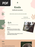 Anatomía y Fisiología de Koalas | PDF | Coala
