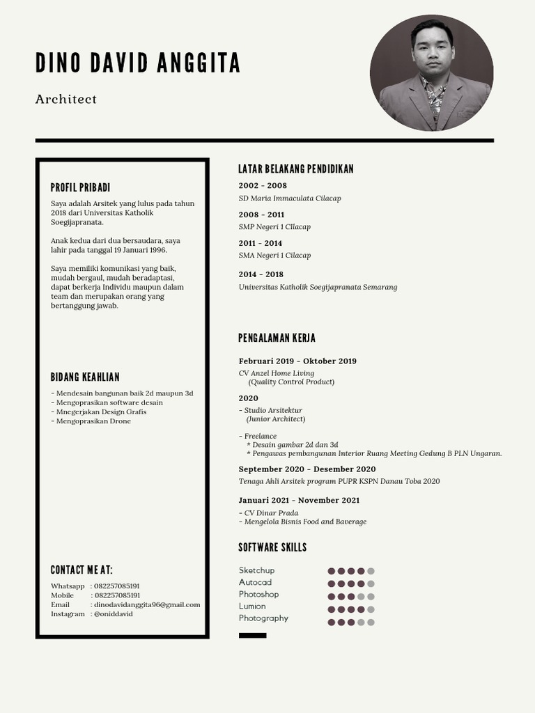 CV Dino David A | PDF