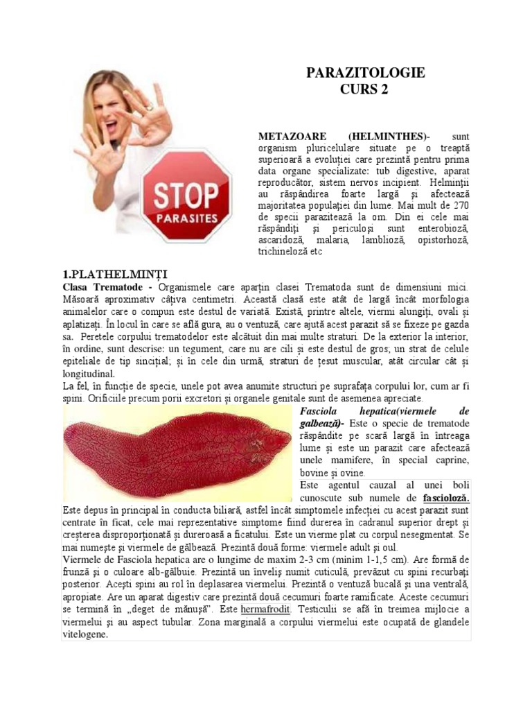 Curs 2 Platelminti | PDF