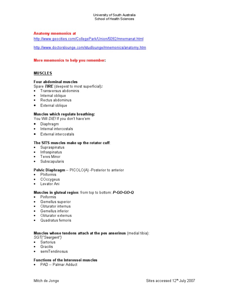 Anatomy Mnemonics | PDF