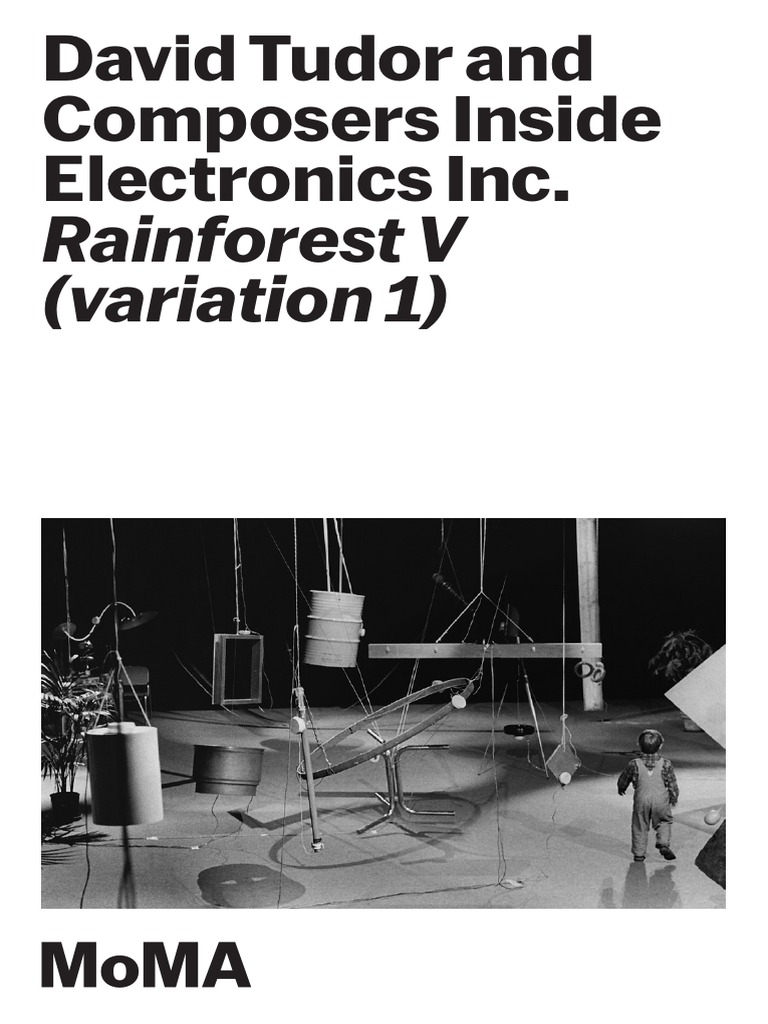 Rainforest V (Variation 1) | PDF | The Arts