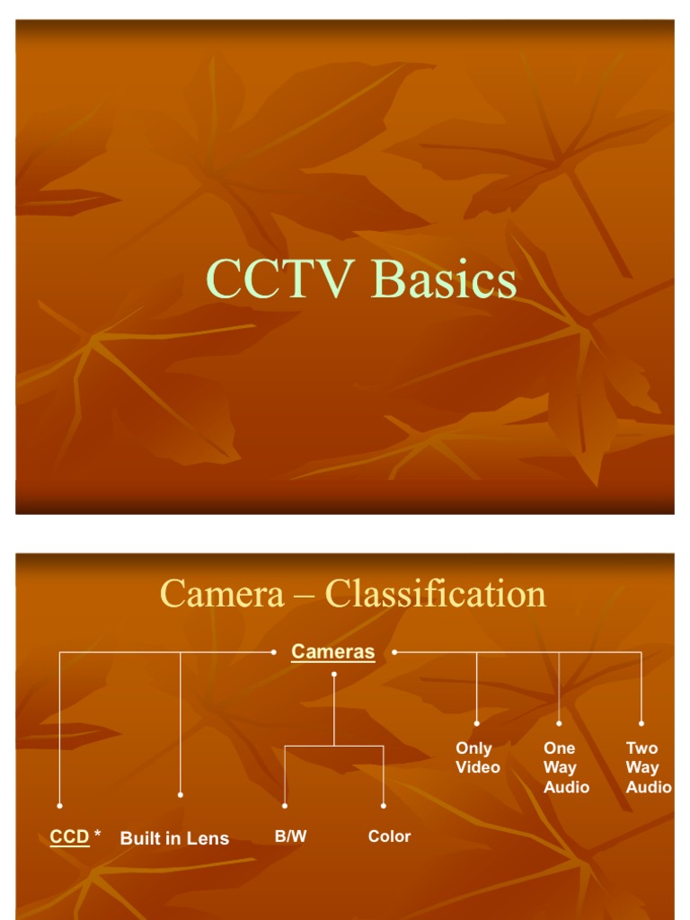 CCTV Basics | PDF | Charge Coupled Device | Television