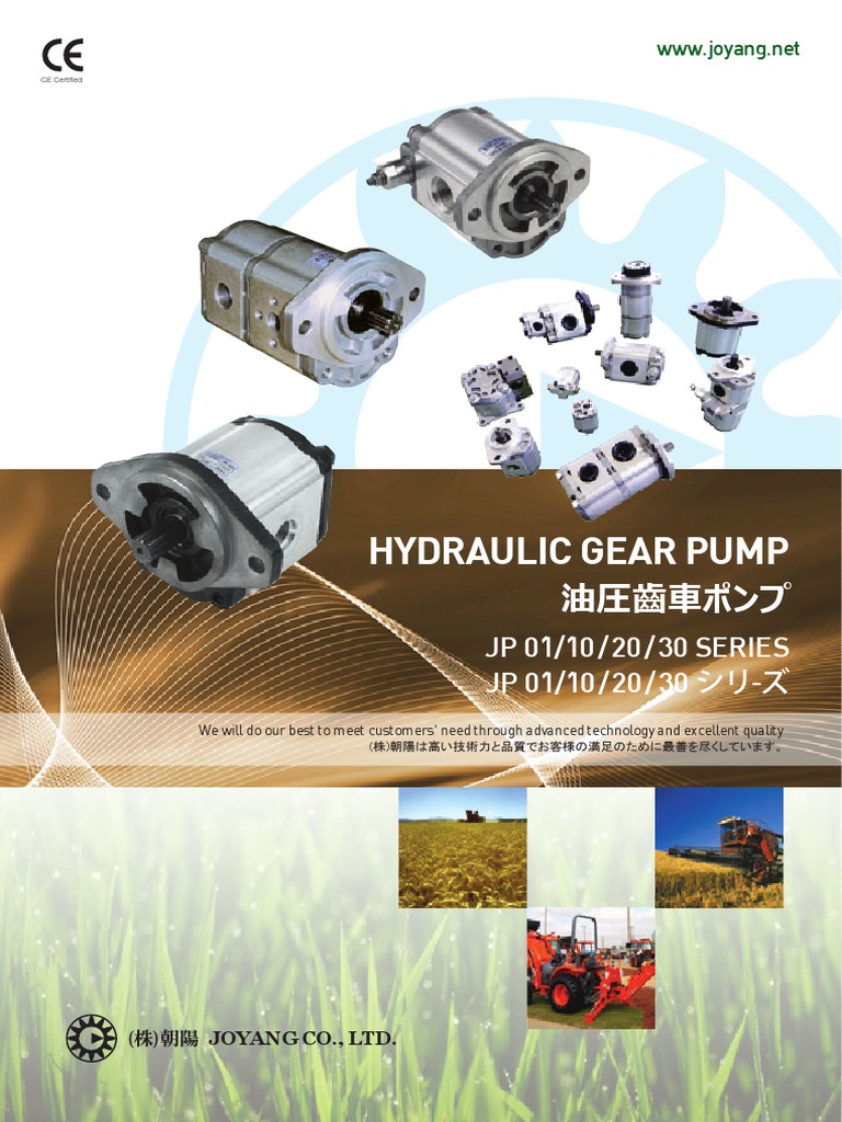 Joyang Eng JPN | PDF