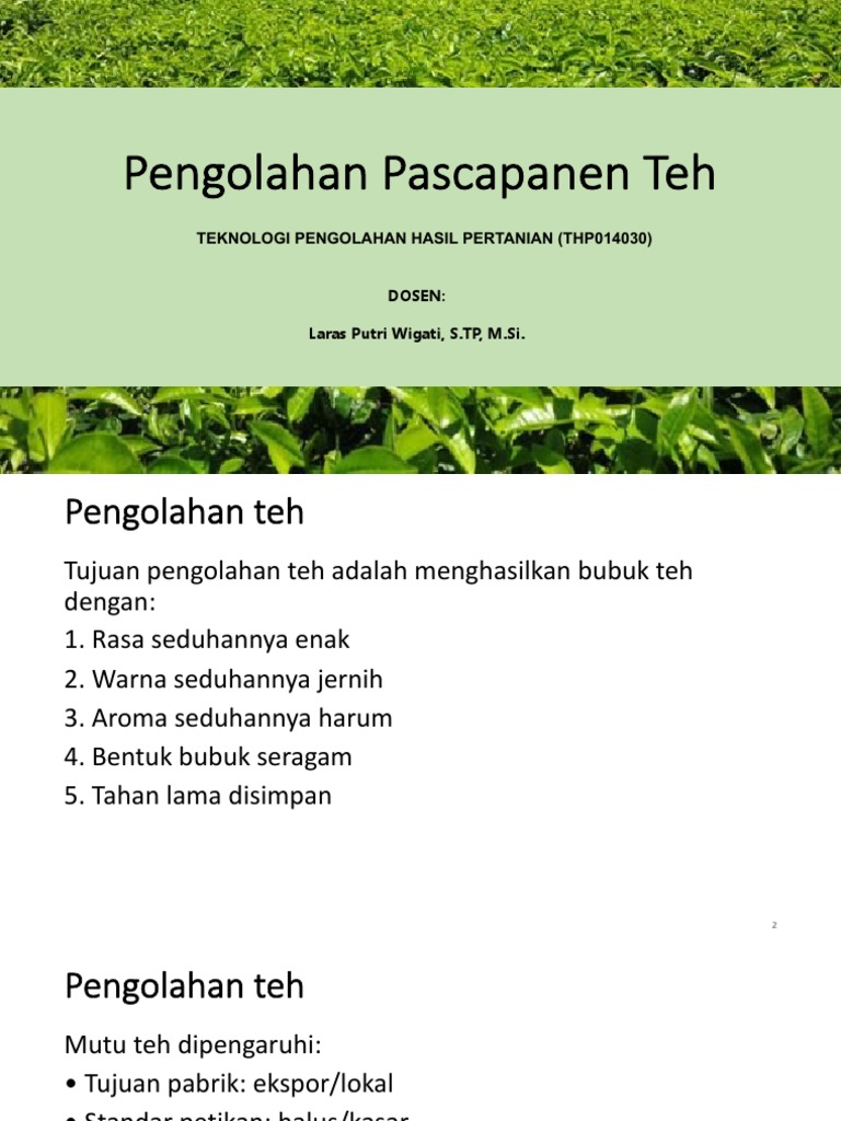 Proses Pembuatan Bubuk Teh | PDF