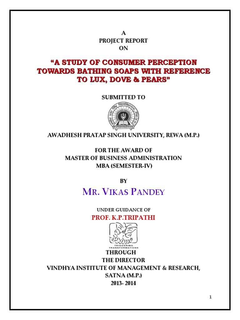 Consumer Perception Towards Bathing Soaps | PDF | Perception | Senses