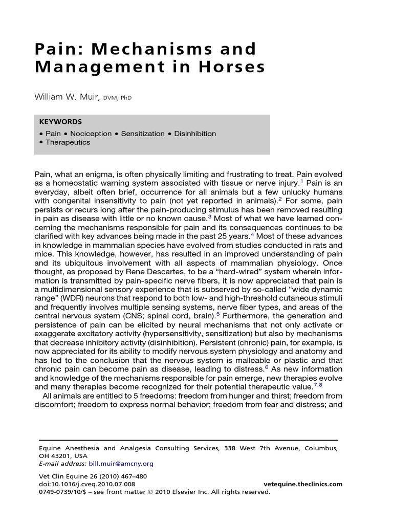 New Insights on Equine Pain Management | PDF | Pain | Analgesic