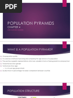 Population Pyramid Lecture | PDF