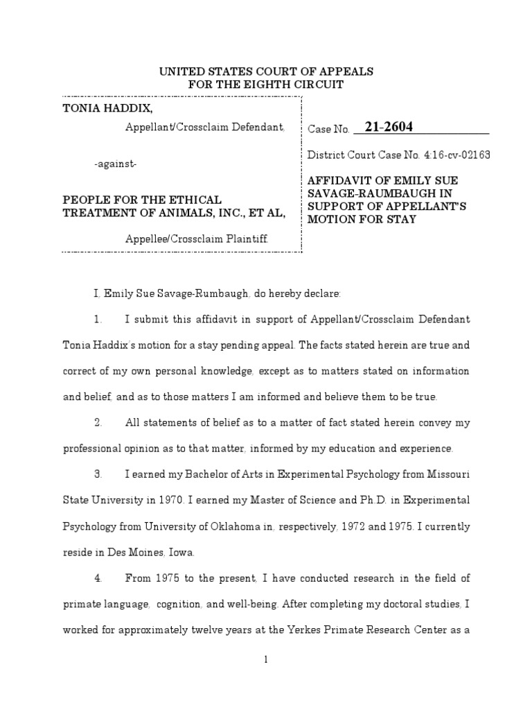 Decl. Sue Savage-Raumbaugh | PDF | Chimpanzee | Psychology