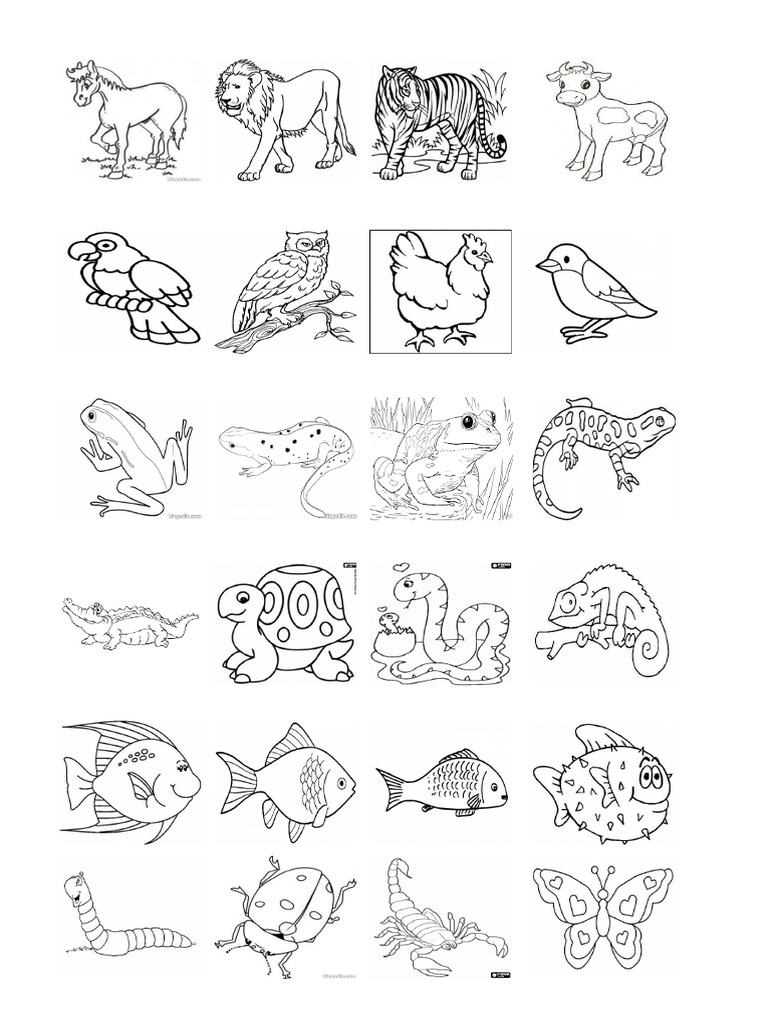 Imagenes de Animales para Colorear | PDF