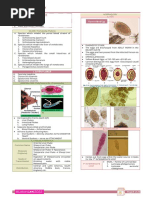 Trematode Flukes: Types and Characteristics | PDF | Zoology | Parasitology