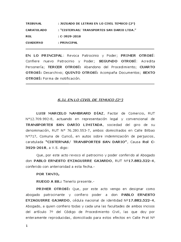 Revoca Pyp y Otros C-3929-19 Temuco (2°) | PDF | Gobierno | Justicia