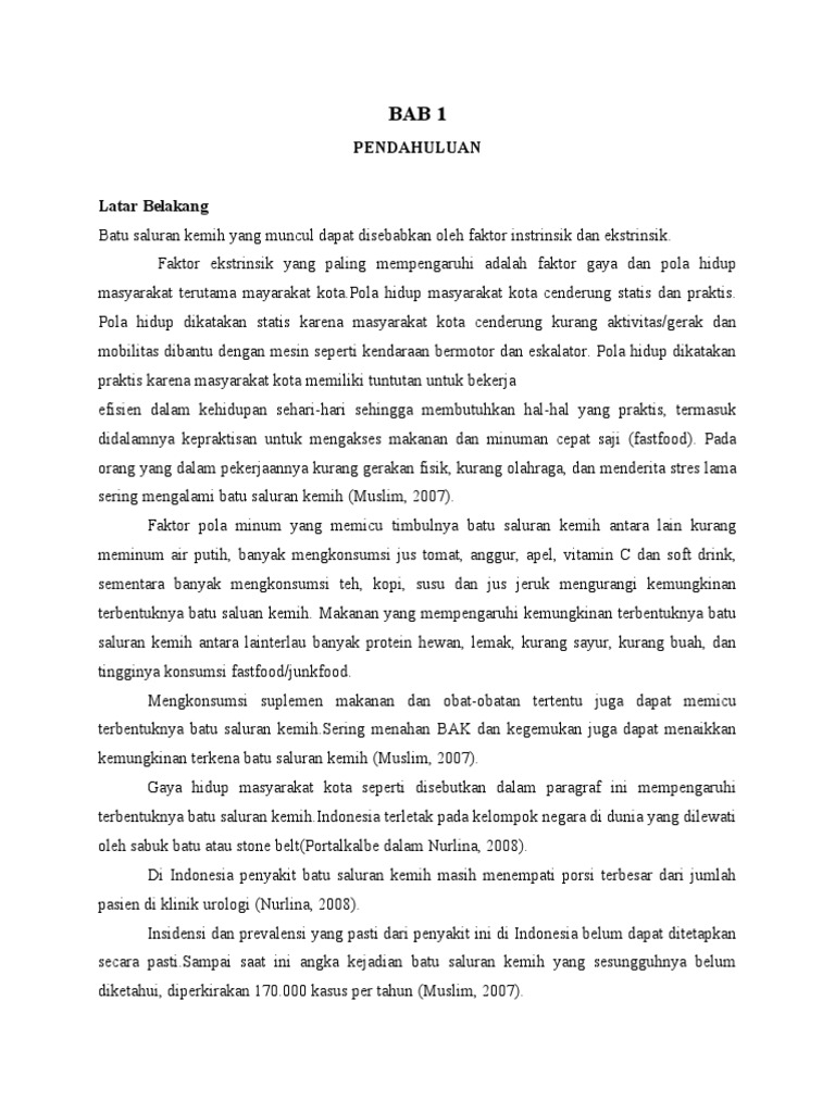 Batu Saluran Kemih | PDF