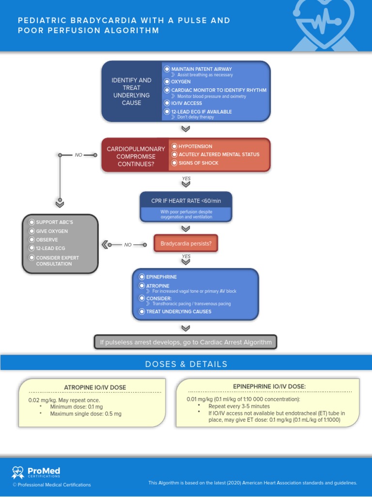 Pediatric Bradycardia With A Pulse and Poor Perfusion Algorithm | PDF | Cardiac Arrest | Cardiology