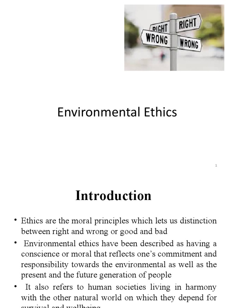 Enviromental Ethics | PDF | Environmental Ethics | Environmental Social ...