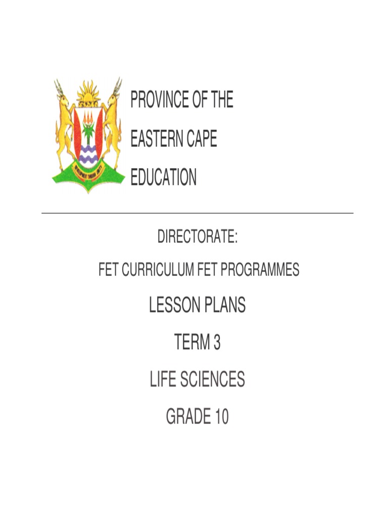 Province of The Eastern Cape Education: Lesson Plans Term 3 | PDF ...