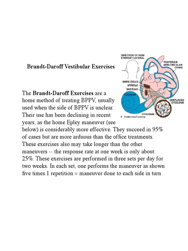 Brandt-Daroff Vestibular Exercises | PDF