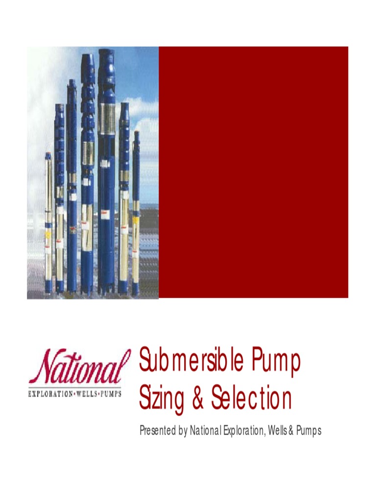 Pump Sizing With Exercises | PDF | Pump | Flow Measurement