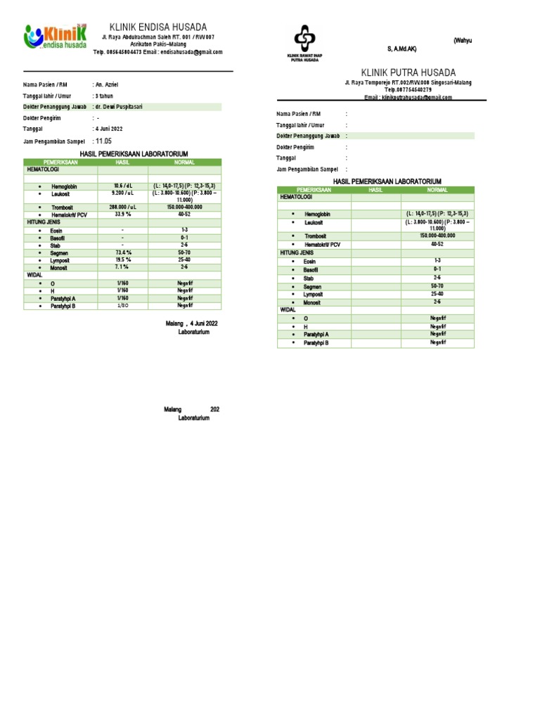 Lab DL Widal New 1 | PDF