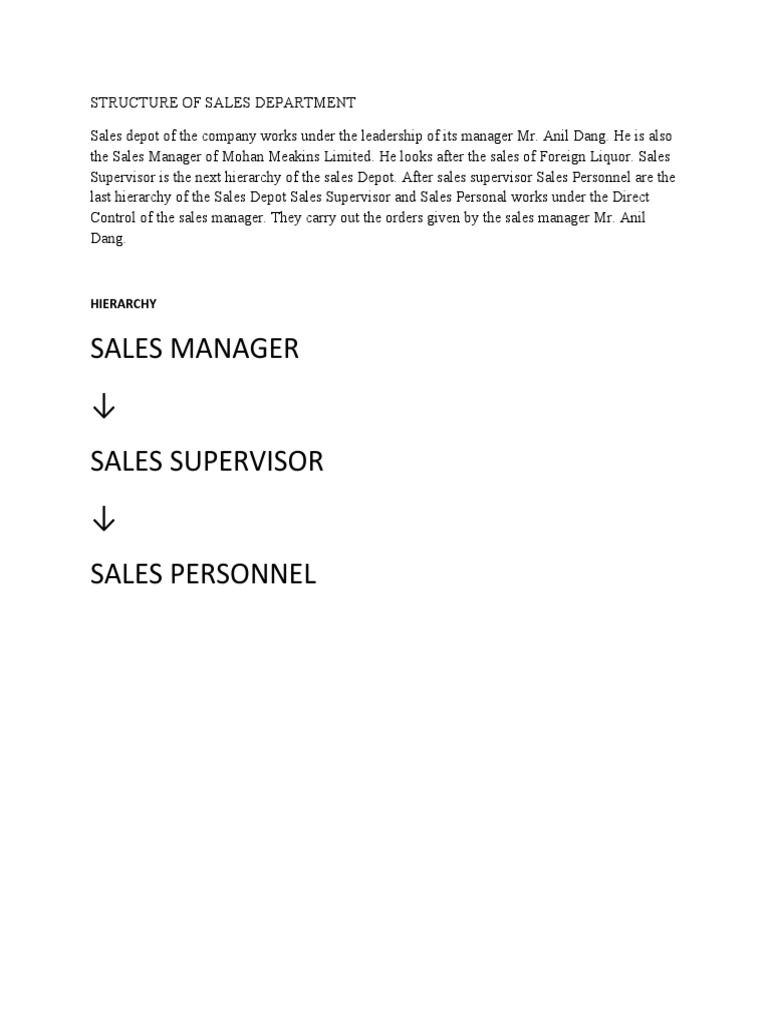 Structure of Sales Department | PDF