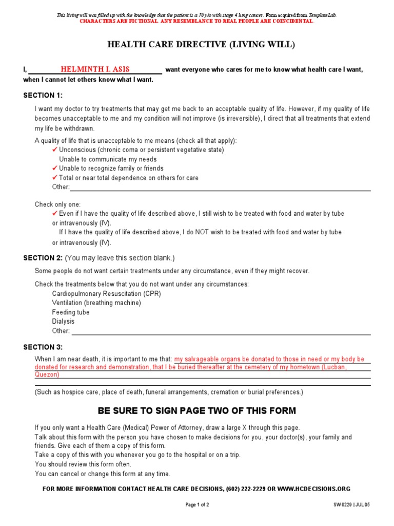Living Will Template 38 | PDF | Power Of Attorney | Health Care