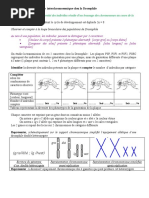 Exercices Corrigés de Monohybridisme | PDF | Hybride (Biologie) | Génotype